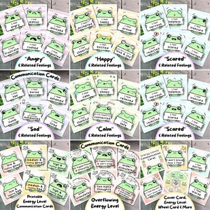 Autism Frog Lover Bundle: Communication Cards, Feelings Flashcards ...