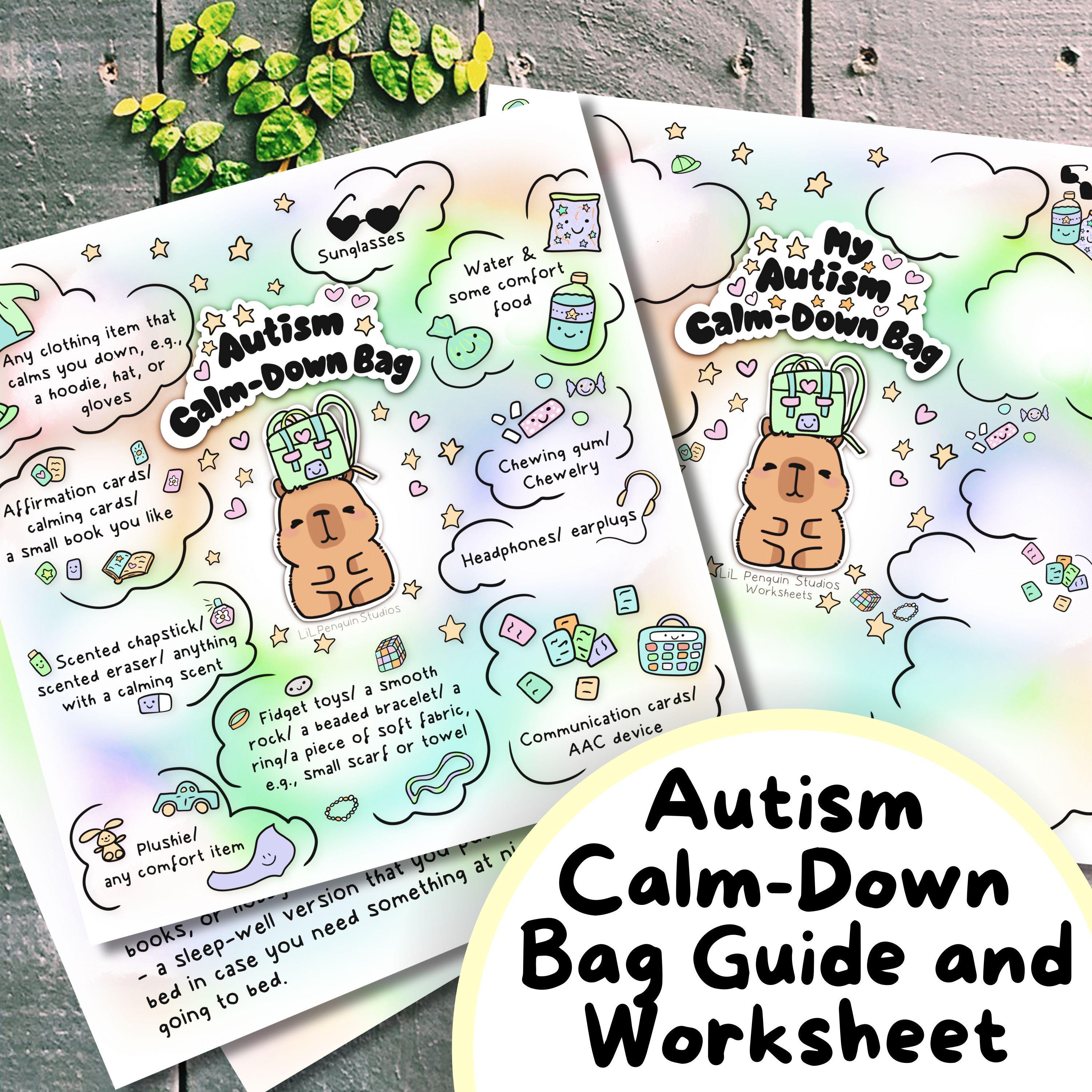 Capybara Autism Calm Down Kit, Self Care PDF, Autistic Meltdown Aid ...