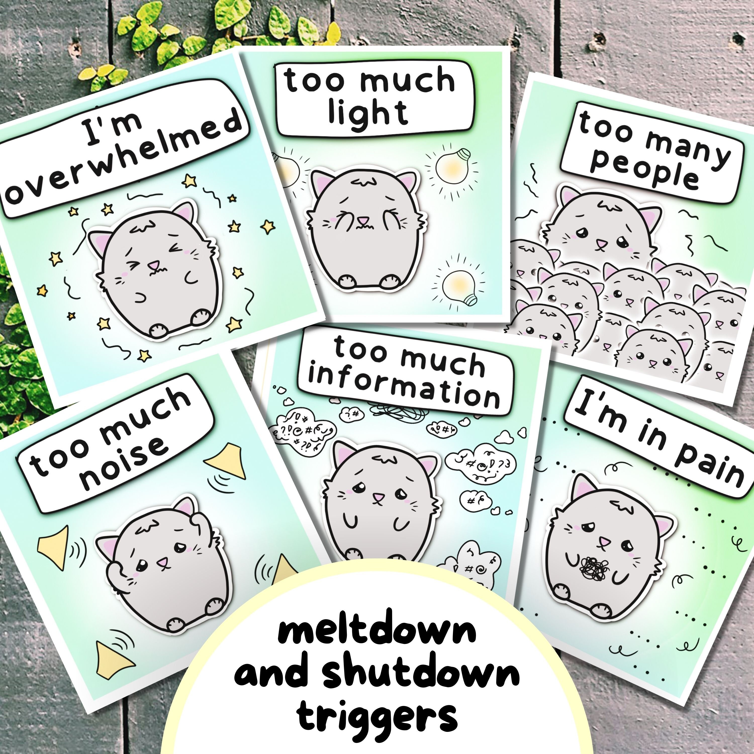 Sensory Overload Communication Cards, Meltdown/ Shutdown Aid, Cat ...