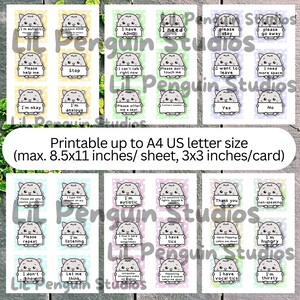 Autism Gift Set, Cat Communication Cards, Kitty Autistic Affirmations ...