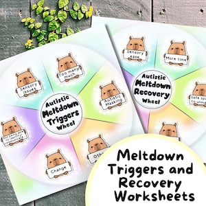 Capybara Autism Calm Down Kit, Self Care PDF, Autistic Meltdown Aid ...