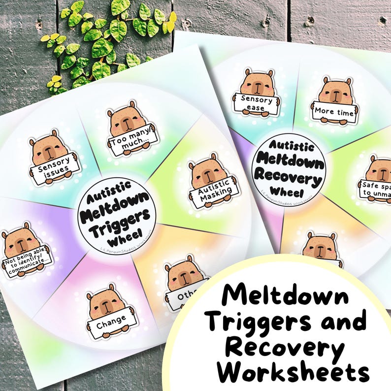 Capybara Autism Calm Down Kit, Self Care PDF, Autistic Meltdown Aid ...