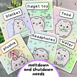 Autism Gift Set, Cat Communication Cards, Kitty Autistic Affirmations ...