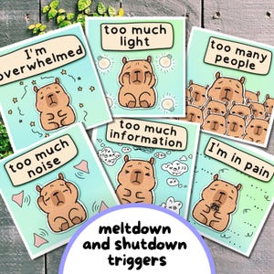 Capybara Meltdown Communication Cards, ASD ADHD Neurodivergent Children ...