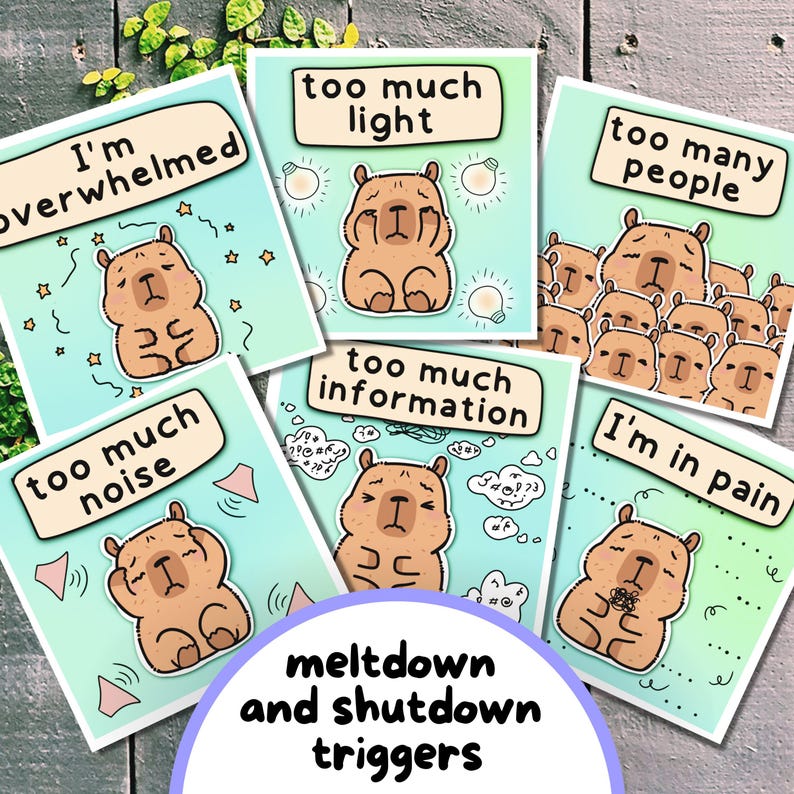 Capybara Communication Cards, Autism ADHD Sensory Aid (printable) - Etsy
