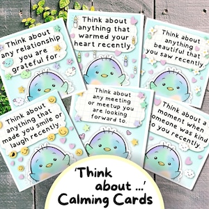 Neurodivergent Calming Cards, Autistic Calm Down Bag, ADHD Download ...
