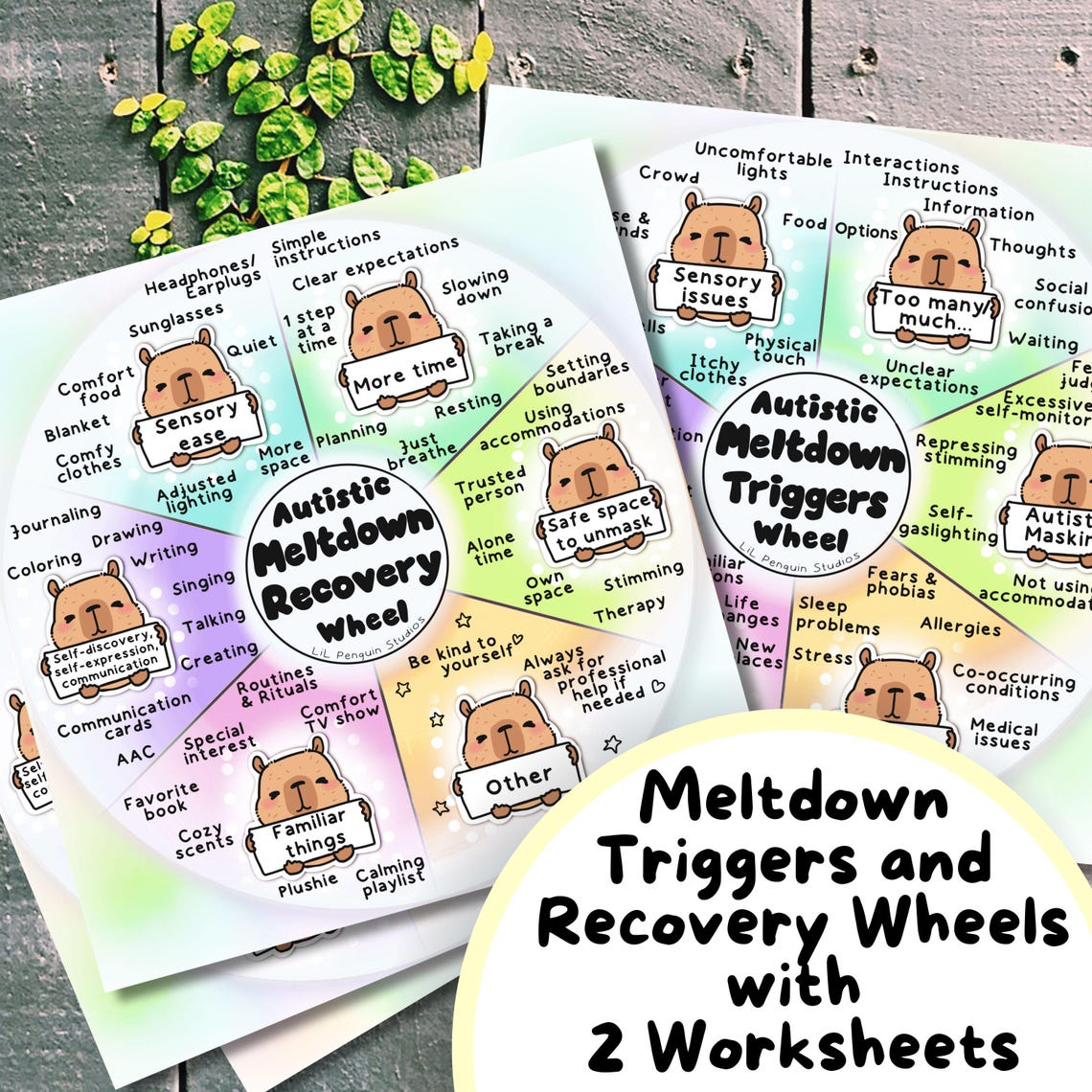 Capybara Autism Calm Down Kit, Self Care PDF, Autistic Meltdown Aid ...