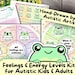 Autism Frog Lover Bundle: Communication Cards, Feelings Flashcards ...