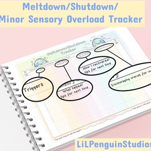 Meltdown Communication Cards/ Meltdown Tracker, Nonverbal Cards, Autism ...