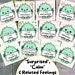 Dinosaur Autism FEELINGS Kit With Communication Cards, Autistic ...