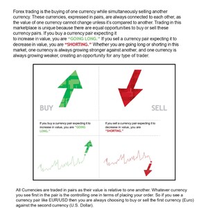 Forex Trading for Beginners - Know the Basic Terms for Forex Traing ...