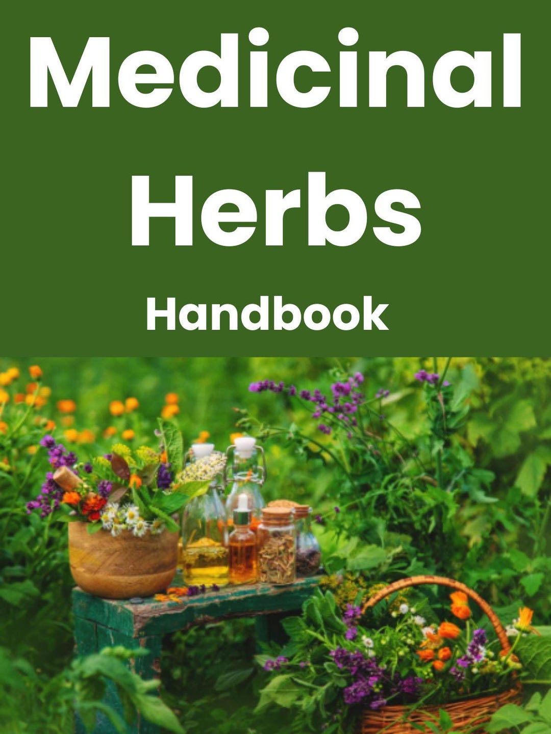 The Medicinal Herbs Handbook PDF File for Instant Download - Etsy