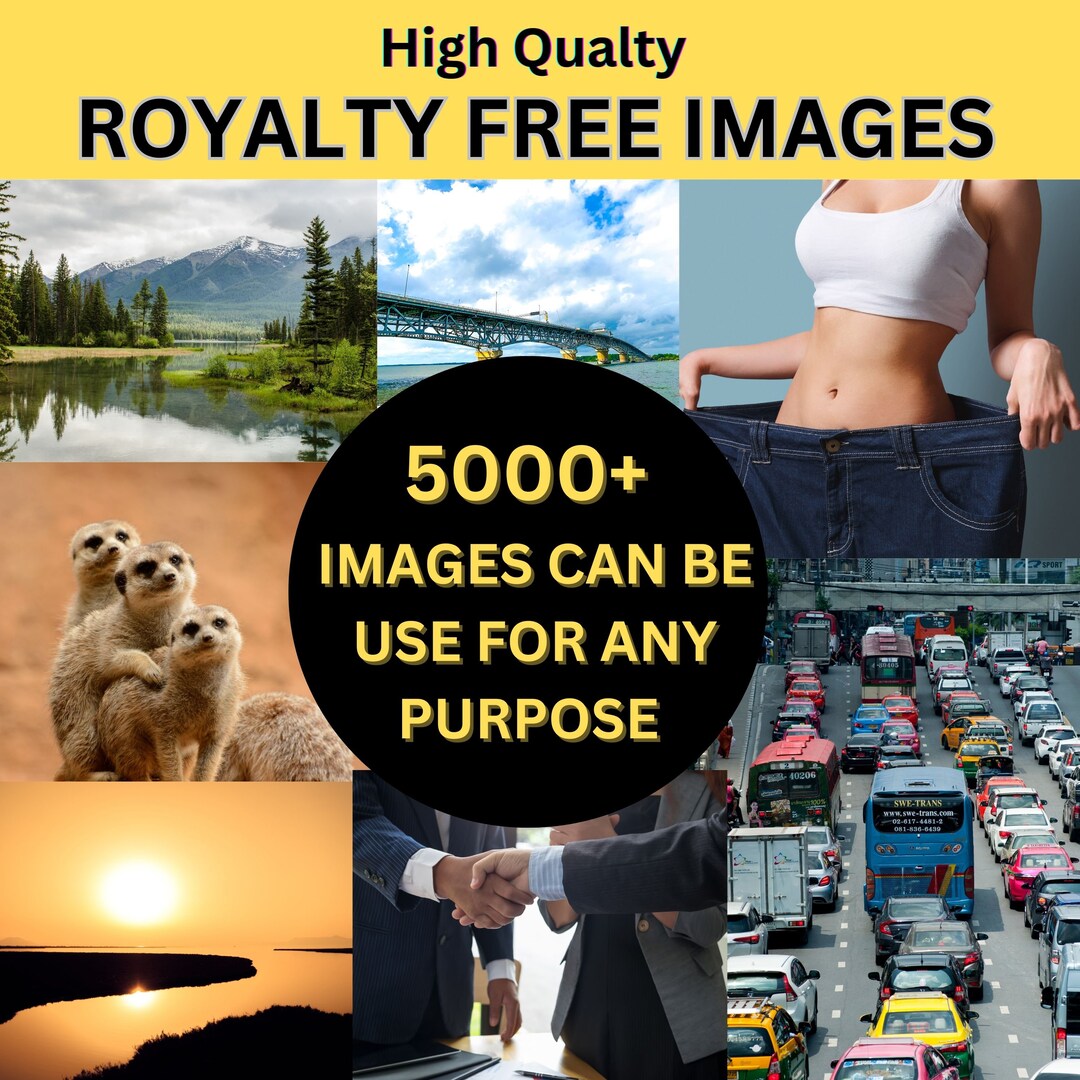 PLR/RR 5000 Royalty Free Stock Images Bundle, Vintage Photos Collection ...