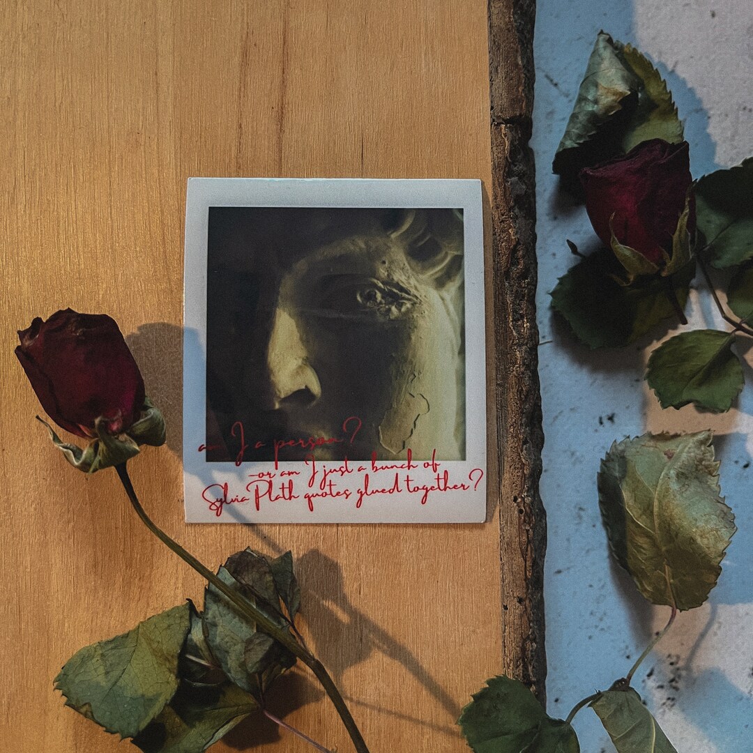 Sylvia Plath Aesthetic Classics Sticker // Am I a Person or Am I Just a ...