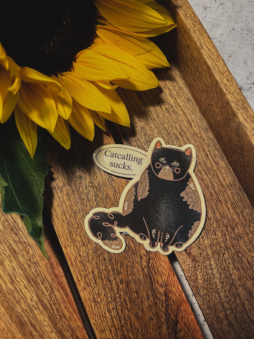 Catcalling Sucks Chunky Cat Sticker // Water-resistant Feminist ...