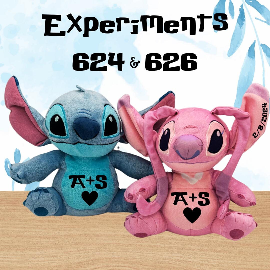 Personalized Disney Stitch & Angel Plush Set | Anniversary Gift ...