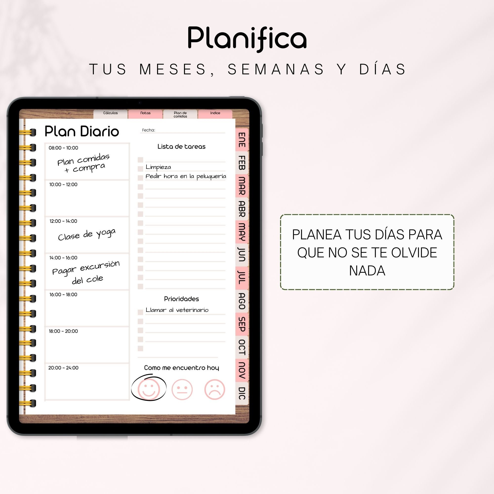 AGENDA DIGITAL atemporal en ESPAÑOL para Goodnotes, Noteshelf ...