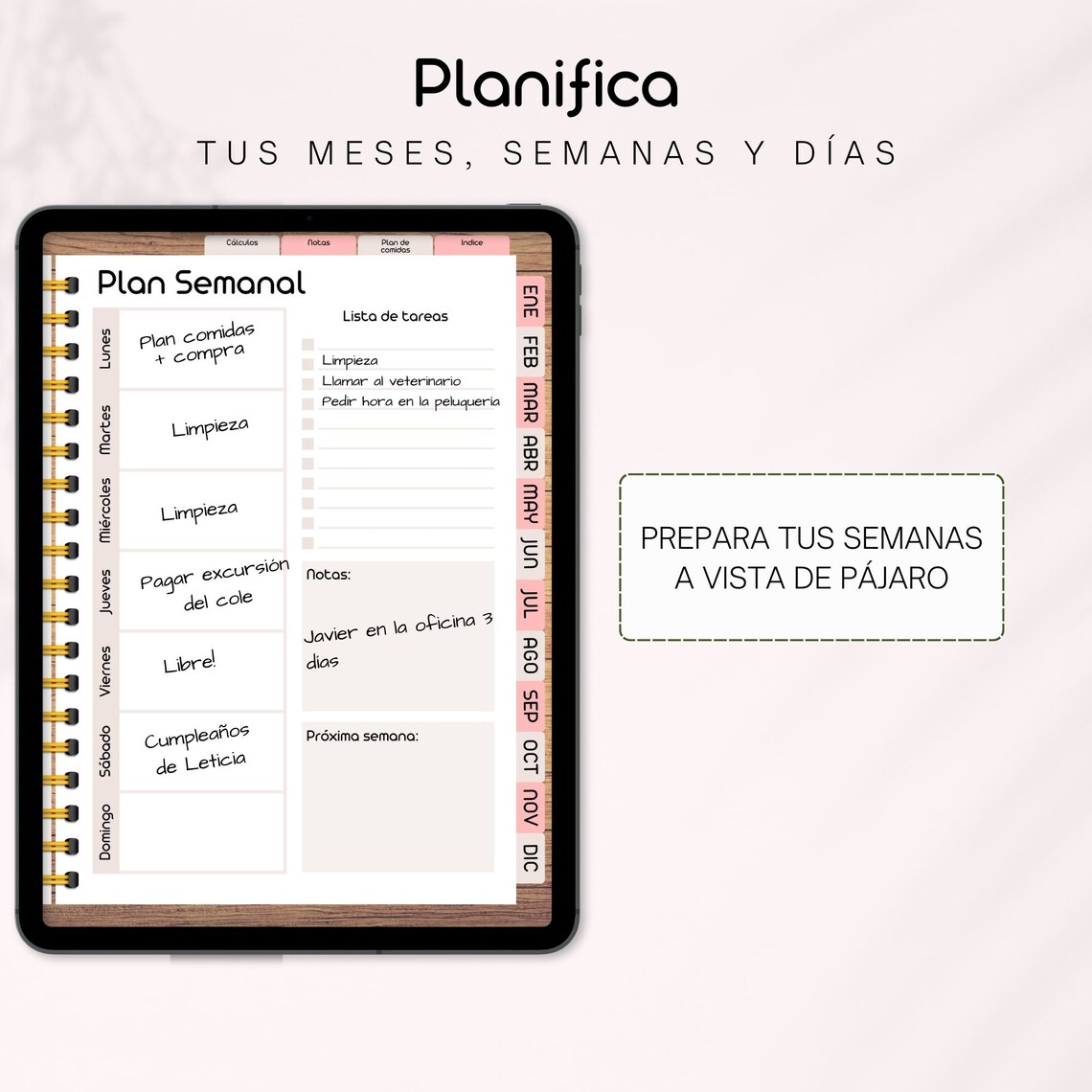 AGENDA DIGITAL atemporal en ESPAÑOL para Goodnotes, Noteshelf ...