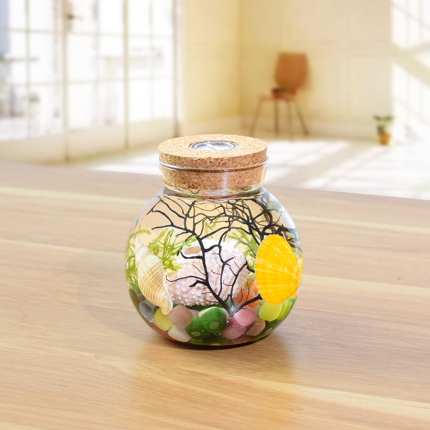 Buy Ecosphere Closed Aquatic Ecosystem Desktop Aquarium With LED Online ...