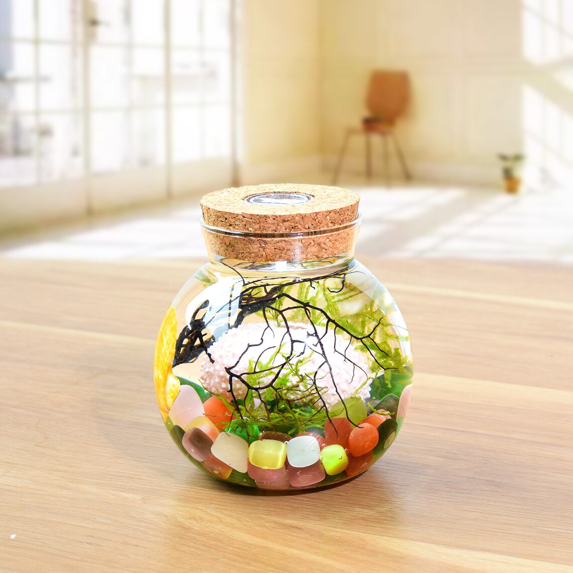 Buy Ecosphere Closed Aquatic Ecosystem Desktop Aquarium With LED Online ...