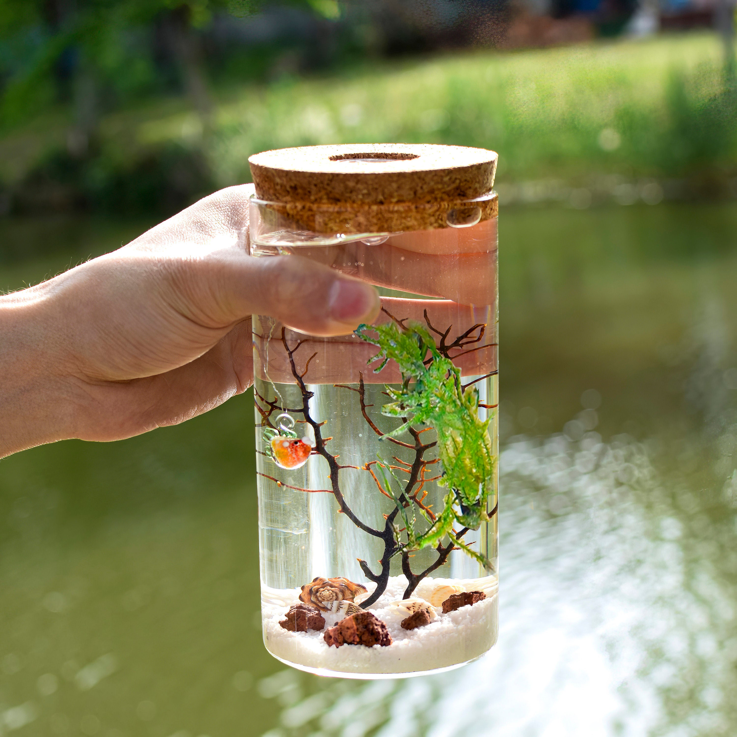 Terrarium Self Sustaining Ecosystem