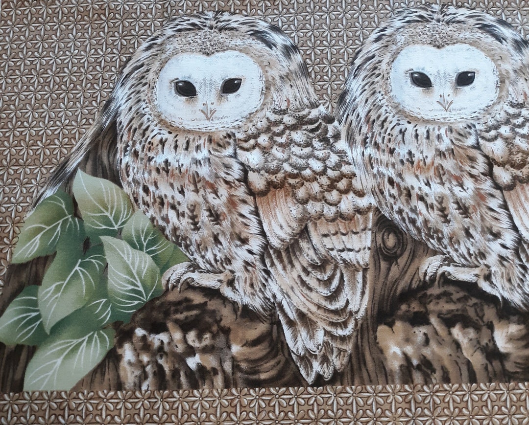 2 Fabric Panels of Owls - Front and Back - Etsy