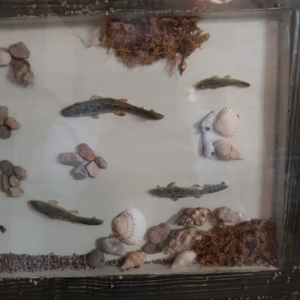 Vintage 3D Shadow Box/tray From San Francisco California - Etsy