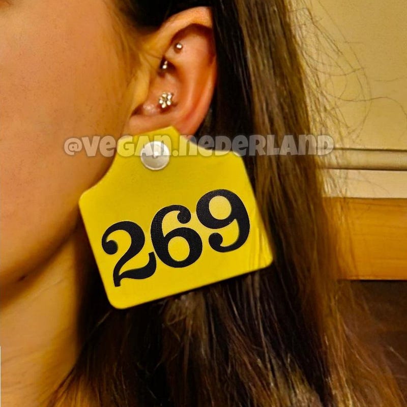 Ear Tag Jewelry - Etsy