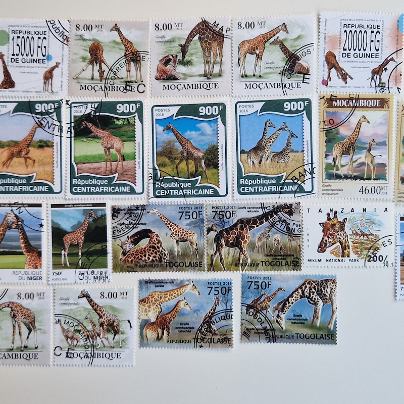 Giraffe Stamp - Etsy