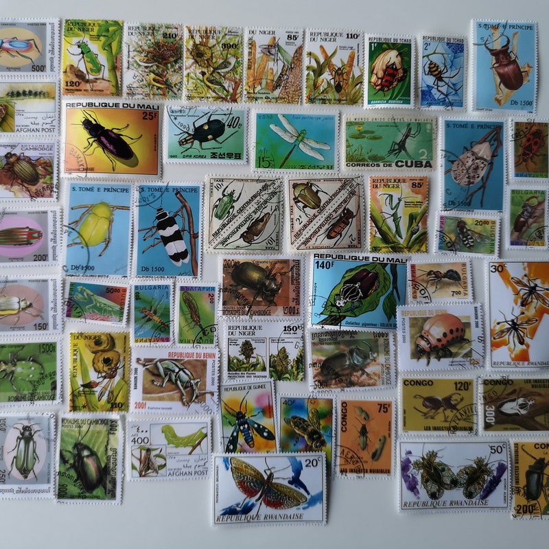 Bug Stamps - Etsy