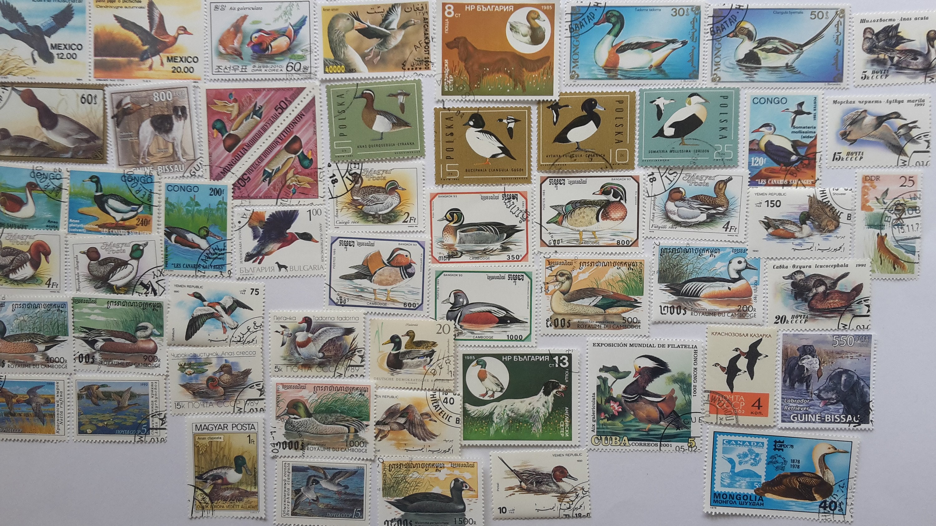 Ducks on Postage Stamps - 25 & 50 Different - USED and off Paper - for ...