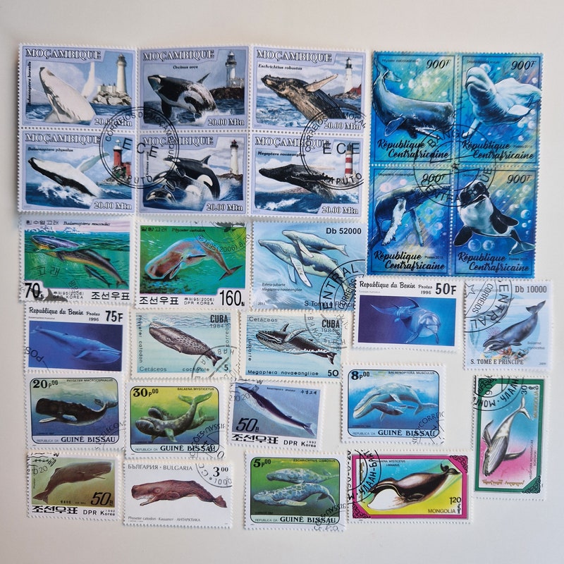 Whale Stamp - Etsy