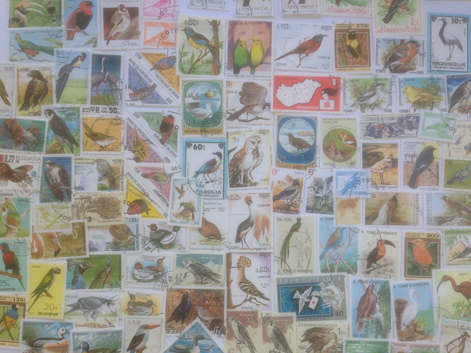 Birds Postage Stamps USED and off Paper 100 to 1000 - Etsy
