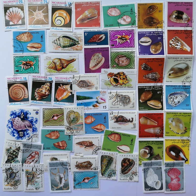 Seashells on Postage Stamps off Paper 50 & 100 Different - Etsy