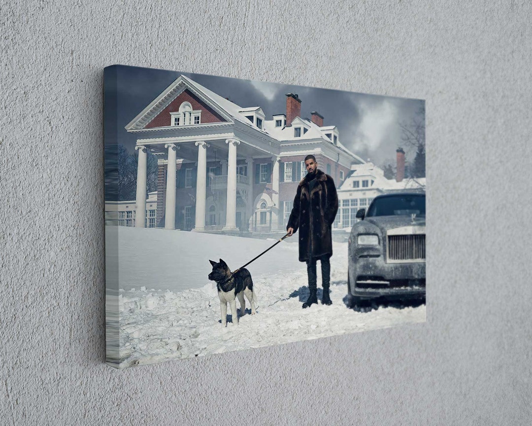 Drake Cold Canvas Canvas Print Fine Art Photography, Art Canvas Poster ...