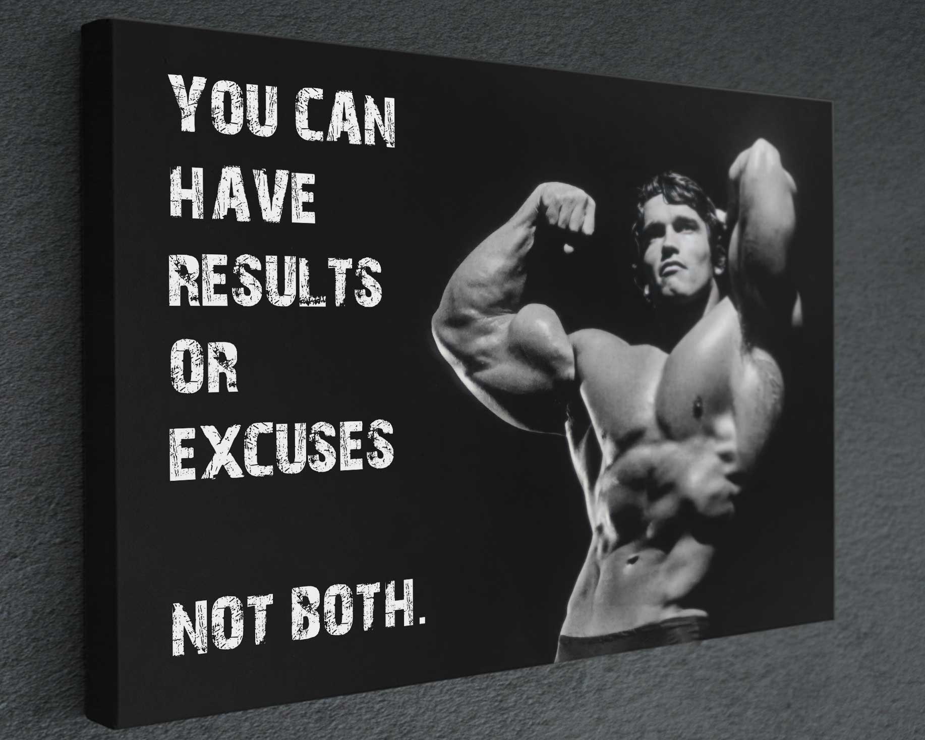 Arnold Schwarzenegger Enjoyment Poster