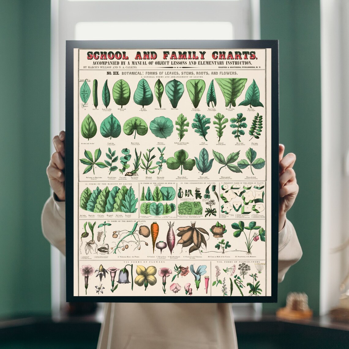 Old School Charts Poster With Fruits Vegetables Plants - Etsy