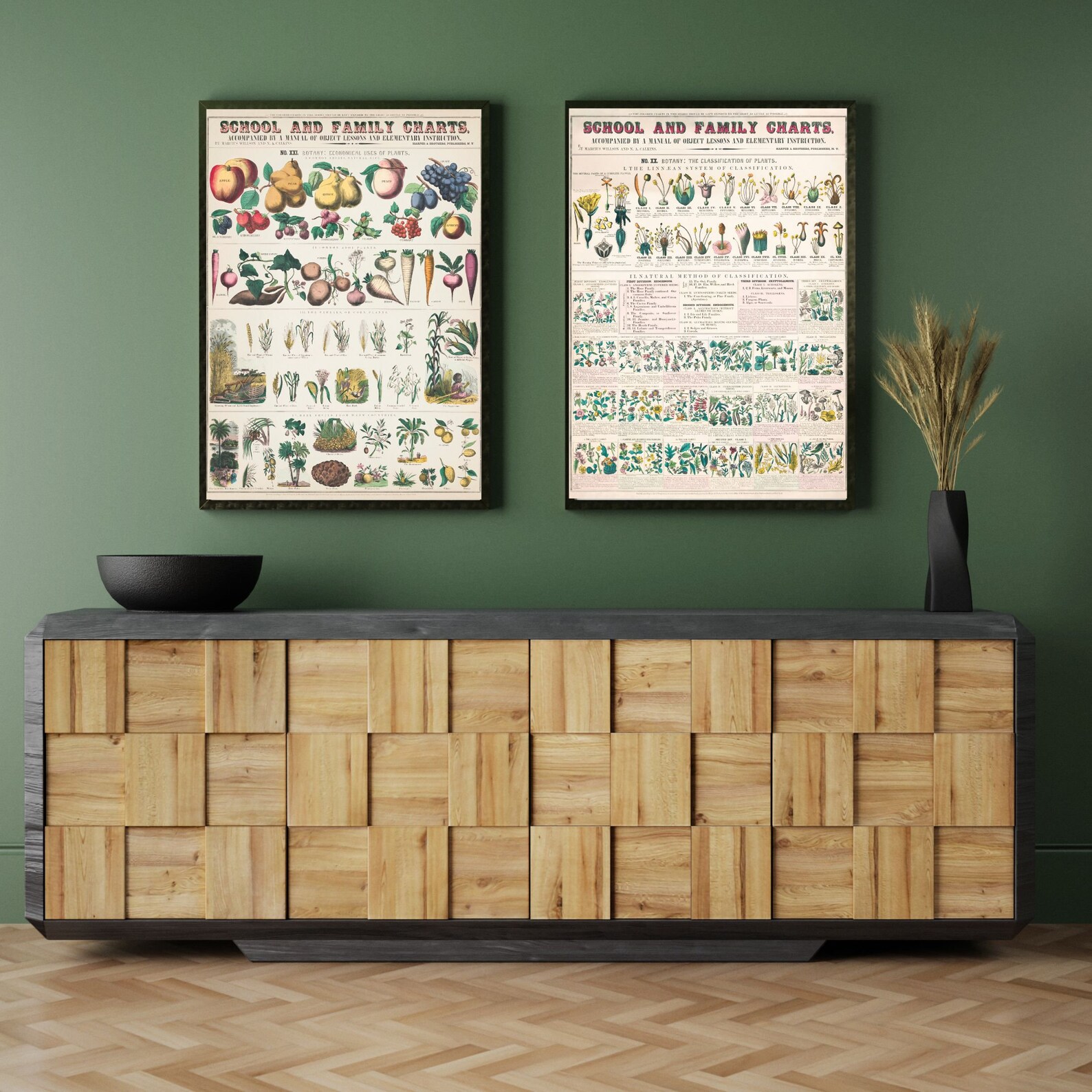 Old School Charts Poster With Fruits Vegetables Plants - Etsy
