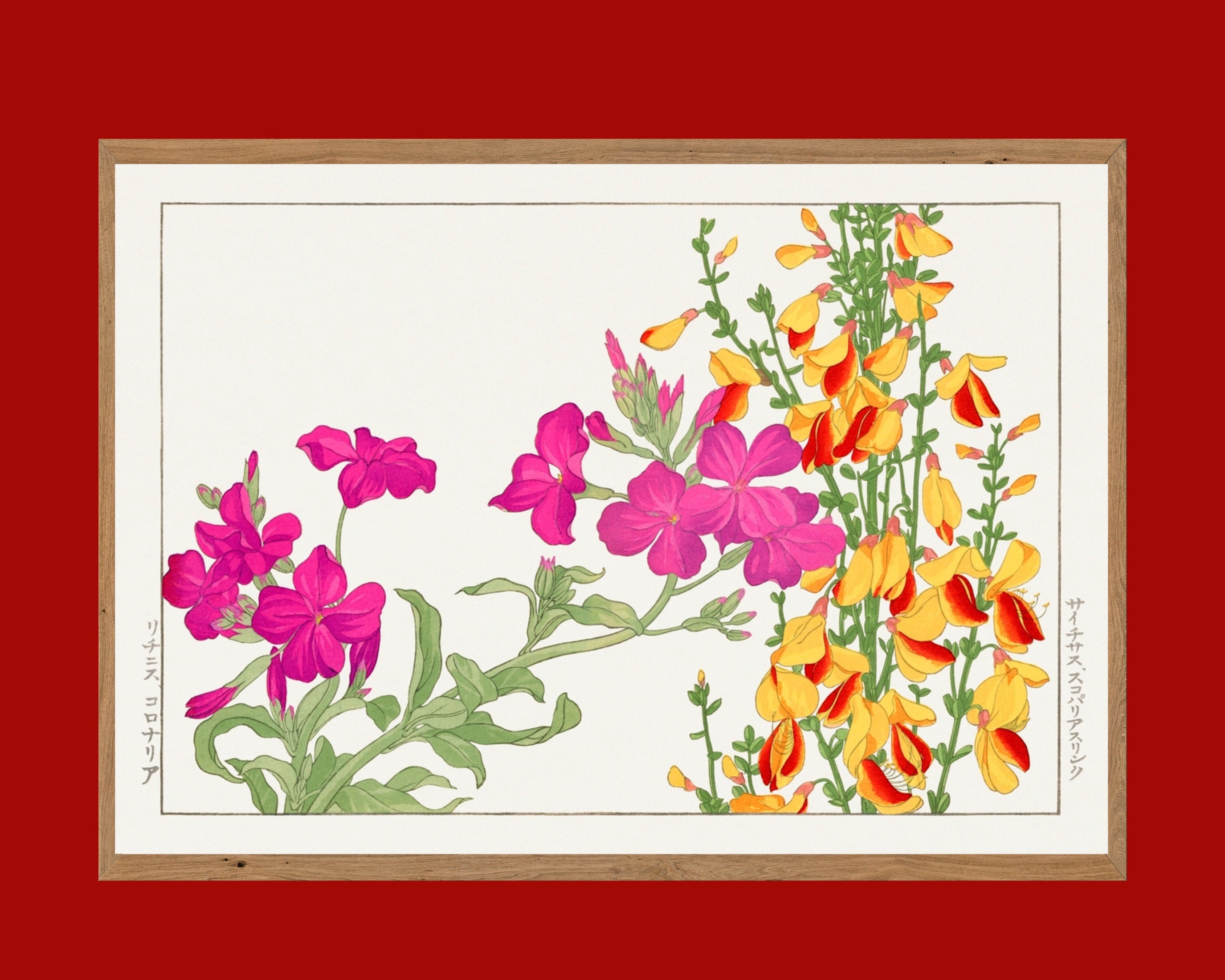 Floral Posters Printable Digital Jpgs Posters of Flowers - Etsy