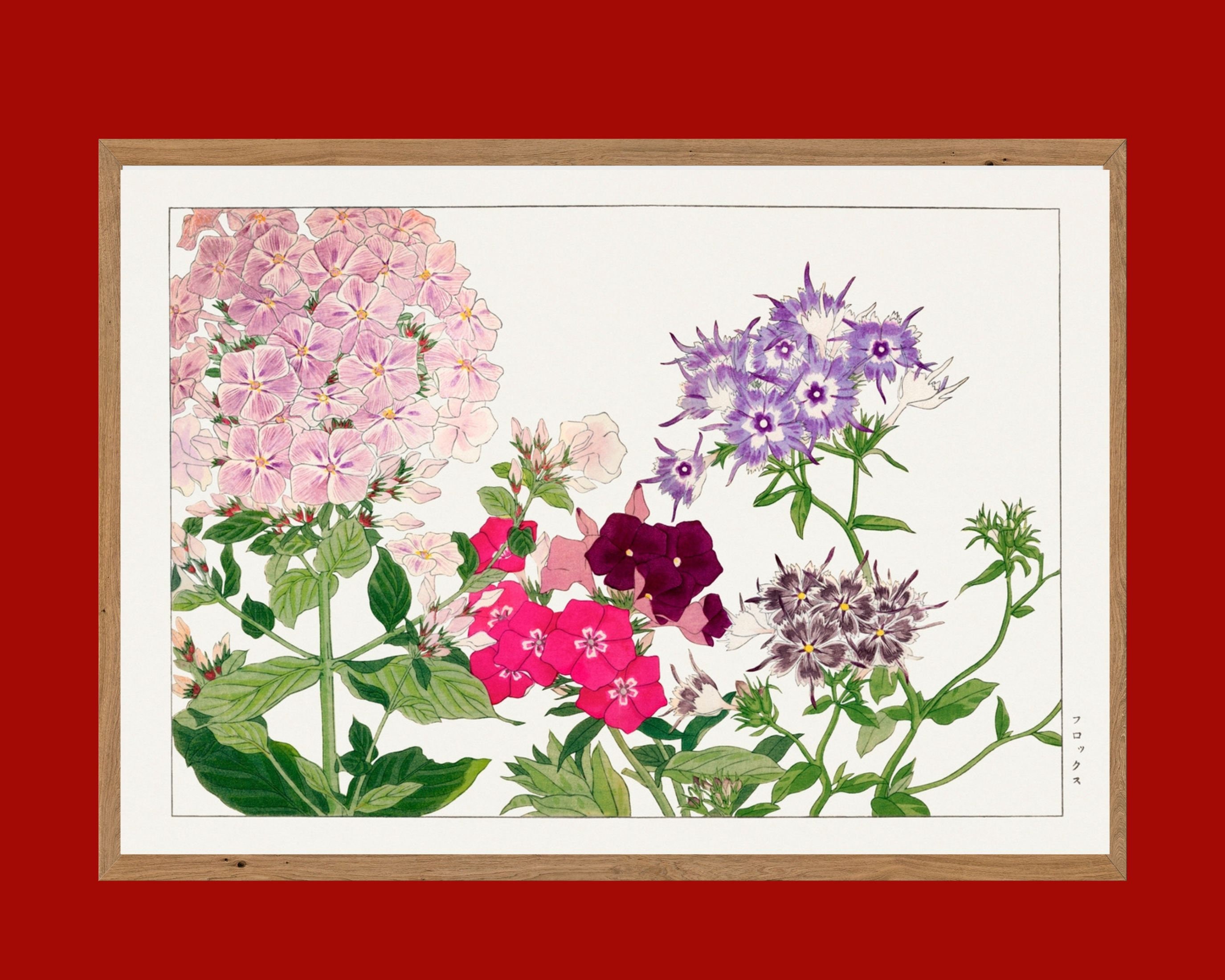 Floral Posters Printable Digital Jpgs Posters of Flowers - Etsy