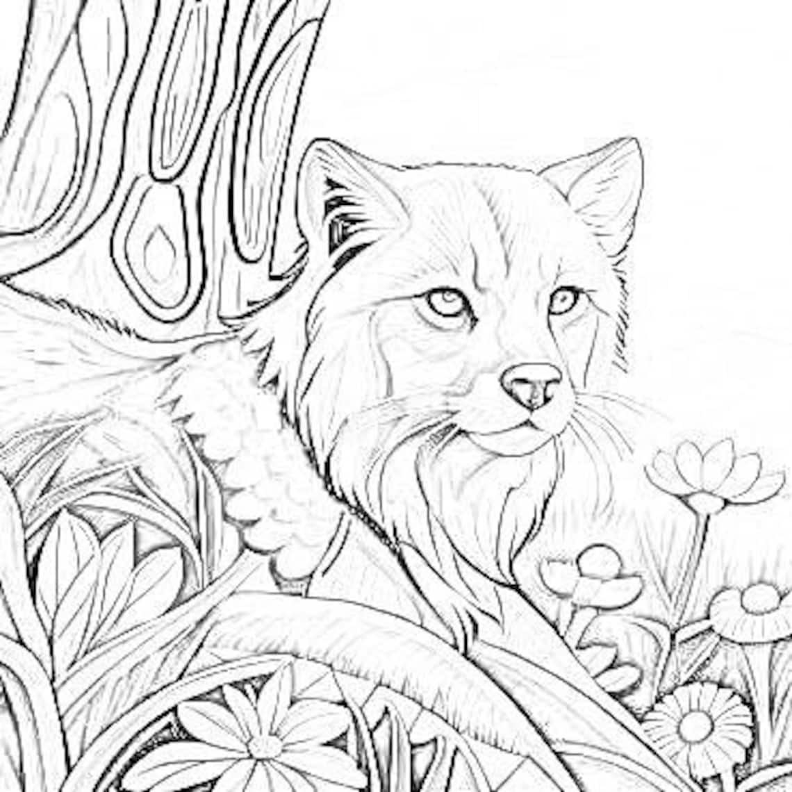 Coloring Pages Animals and Nature, Coloring Book, Animals Coloring ...