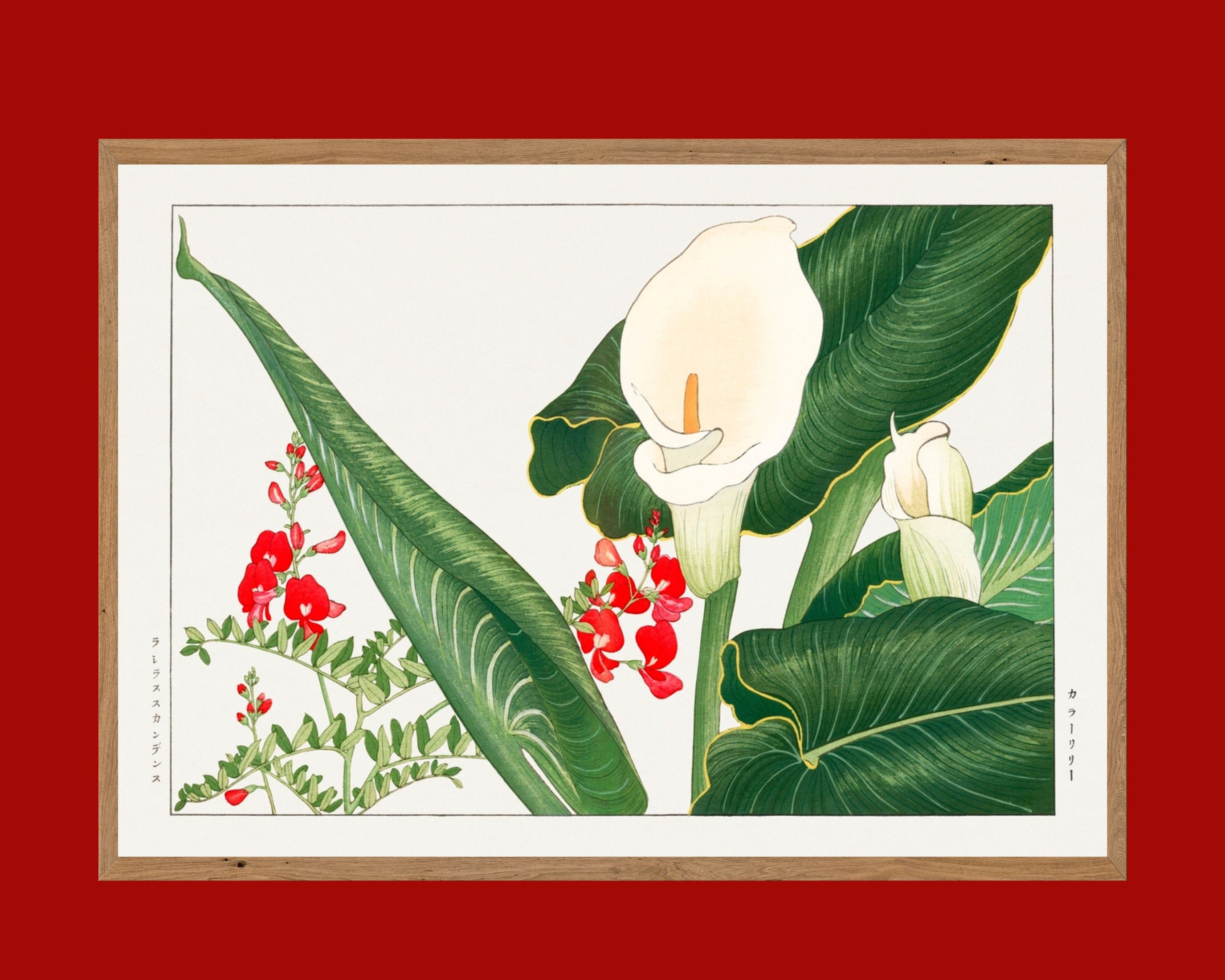 Floral Posters Printable Digital Jpgs Posters of Flowers - Etsy