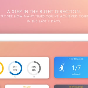 Excel Step Tracker: Daily Fitness Dashboard (digital Download) - Etsy