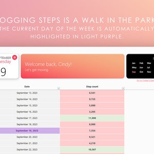 Excel Step Tracker: Daily Fitness Dashboard (digital Download) - Etsy