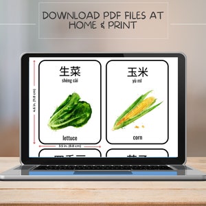 VEGETABLES | Traditional Chinese Flashcards | Printable Preschool ...