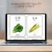 VEGETABLES | Traditional Chinese Flashcards | Printable Preschool ...