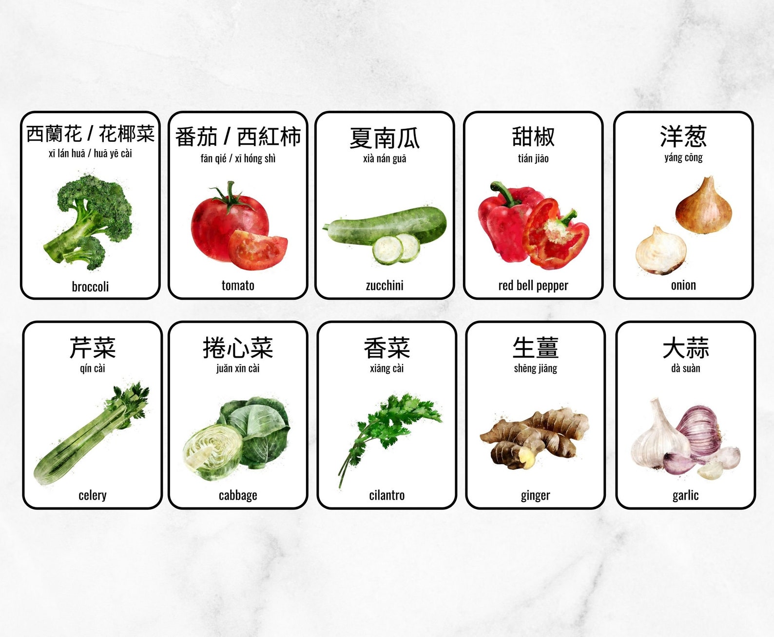 VEGETABLES | Traditional Chinese Flashcards | Printable Preschool ...