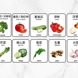 VEGETABLES | Traditional Chinese Flashcards | Printable Preschool ...
