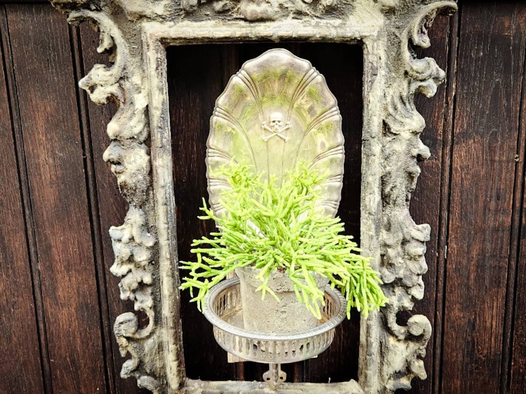 Mini Gothic Wall Hanging Altar for Plants/plant Altar/wall Hanging ...