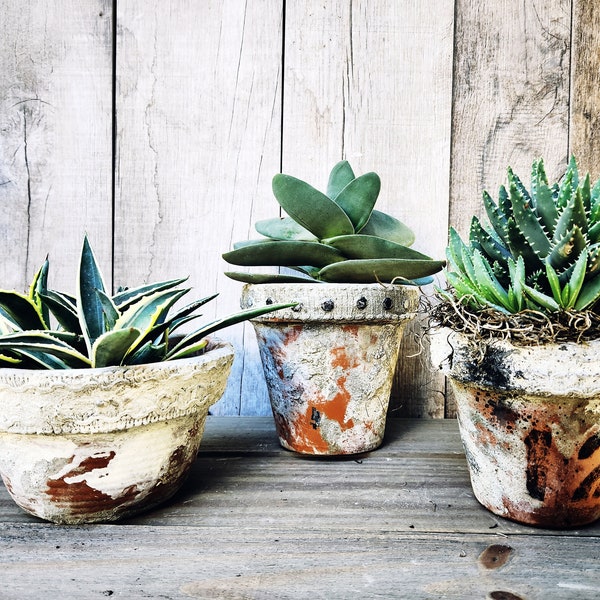 Aged Terracotta Pots - Etsy